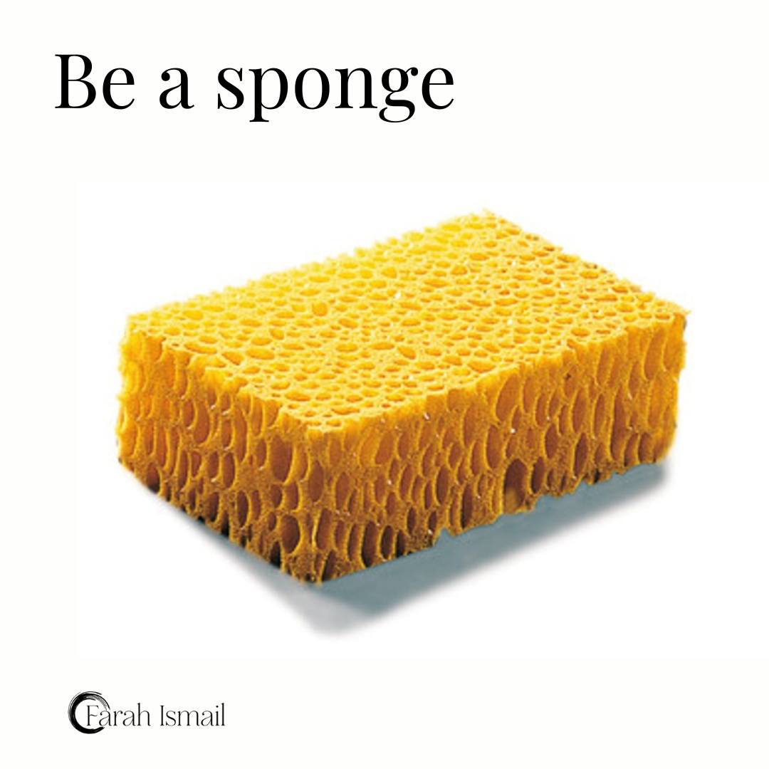 Be A Sponge - Farah Ismail